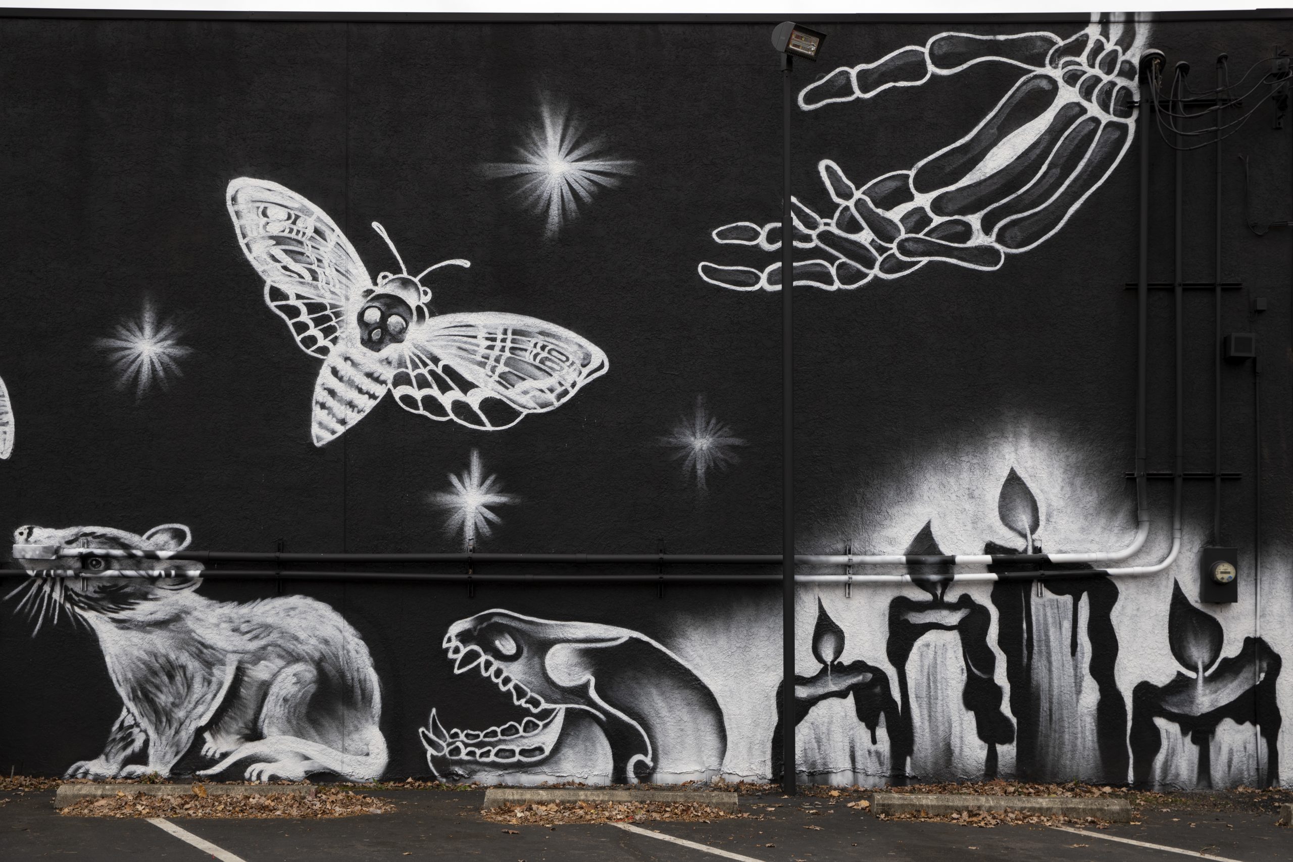 The Strange and Unusual - Street Art Society of NEPA